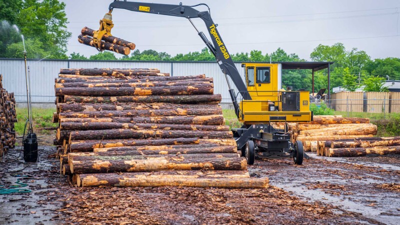 Timber Industry in Africa – Bingoz Consultancy